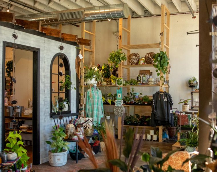 You'll Love Shopping in the OED